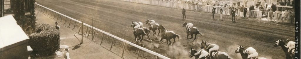 Hialeah Race Track - Flamingo Village